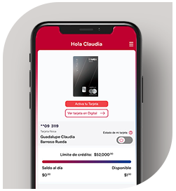 Guía digital INVEX Voyage Platinum