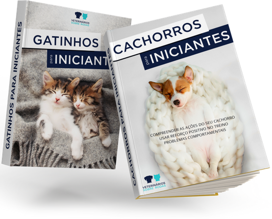 Ebook - Pets para Iniciantes