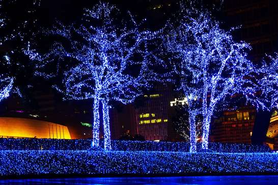 Gear Up for Christmas! - 1000Bulbs