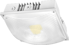 Shop Products from PLT - 1000Bulbs