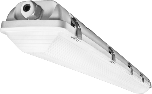 Shop Products from PLT - 1000Bulbs