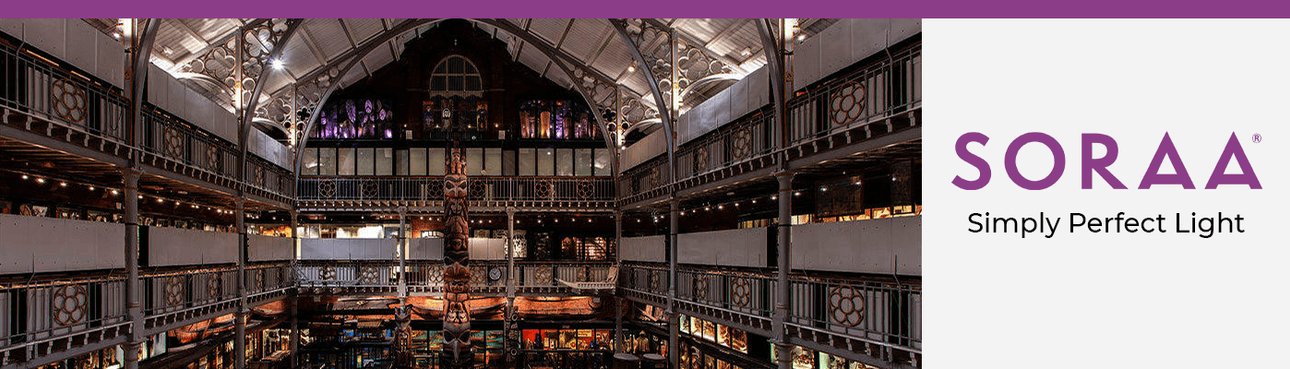 Shop Products from SORAA - 1000Bulbs