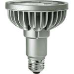 Shop Products from SORAA - 1000Bulbs