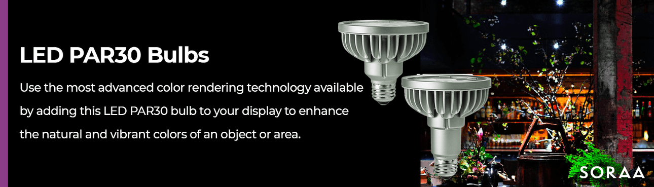 Shop Products from SORAA - 1000Bulbs