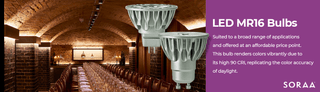 Shop Products from SORAA - 1000Bulbs