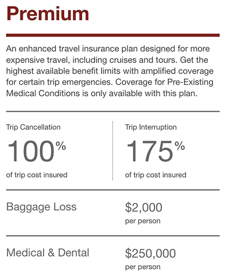 Get Cruise Travel Insurance and Leave Your Worries on Land