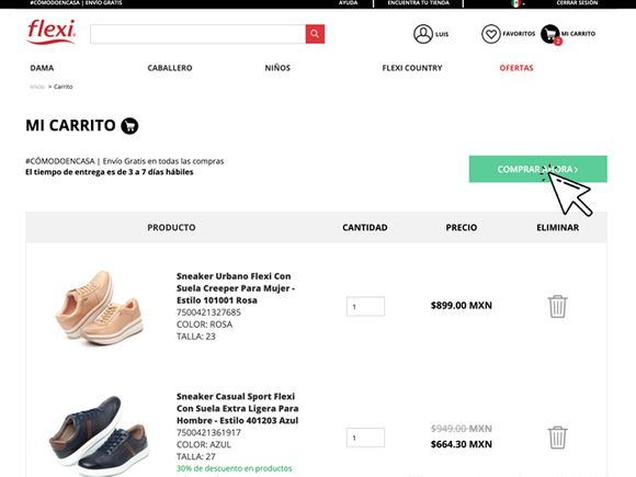 Cómo comprar en flexi.com.mx - Sitio Flexi