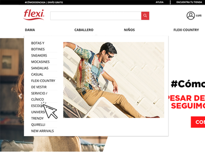 Cómo comprar en flexi.com.mx - Sitio Flexi
