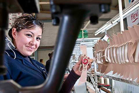 Nosotros - Sitio Flexi