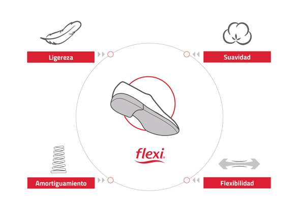 Tecnología del Calzado - Sitio Flexi