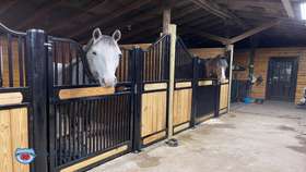 SaratogaStalls - Custom European Horse Stalls