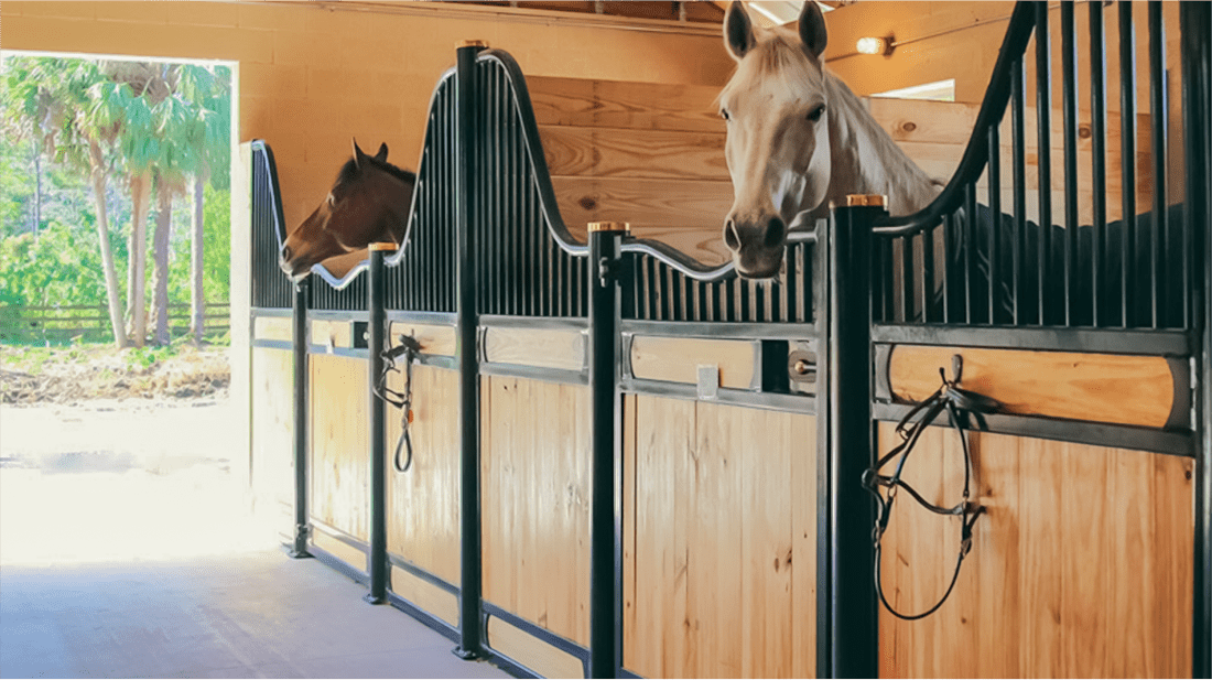 GET OUR FREE CATALOG