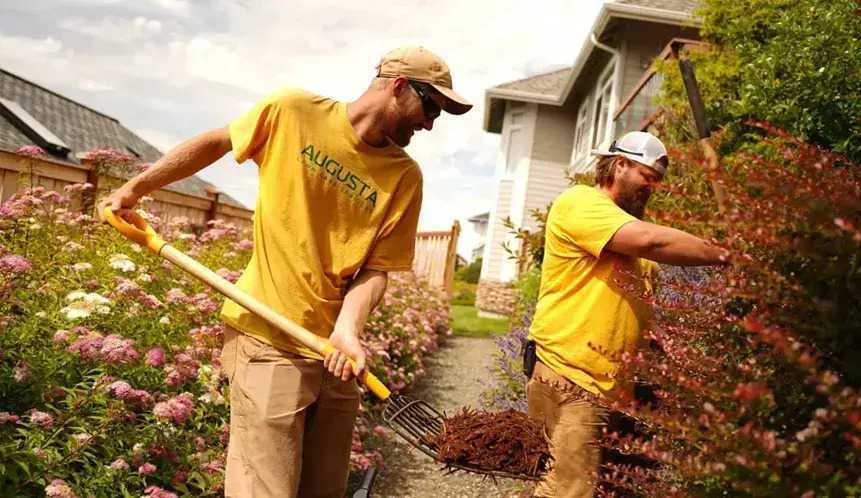 Franchise Development Services | Franchise Creator