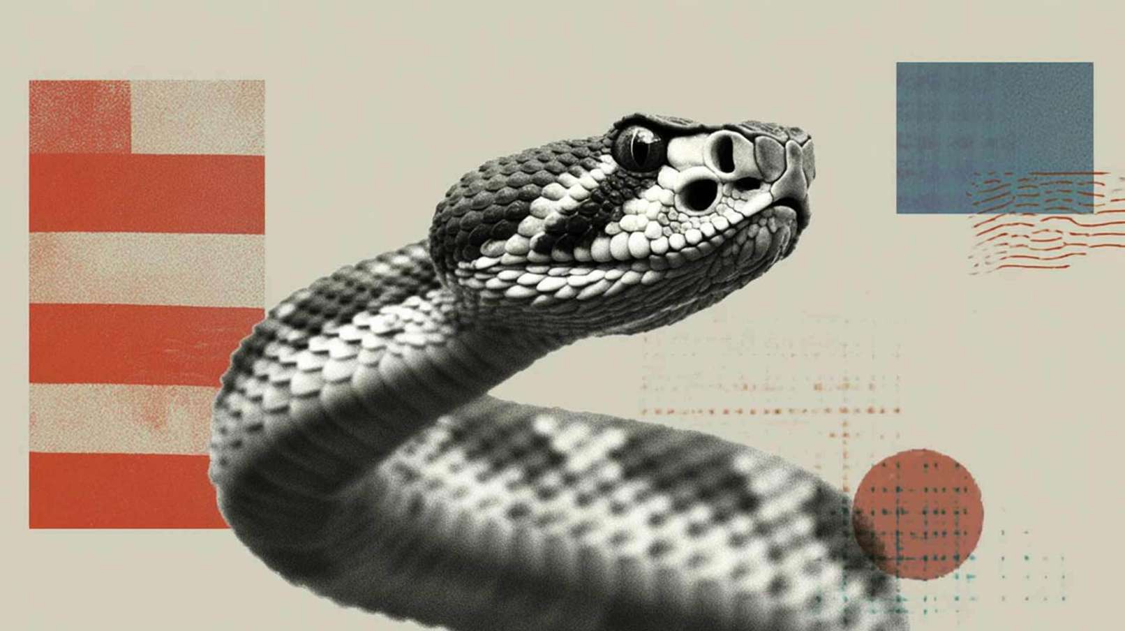 The Rattler by J.D. Tuccille