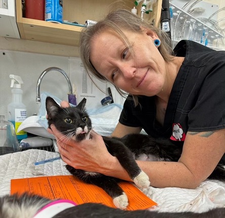 Full-service veterinary hospital in Scottsdale, AZ. We offer affordable ...