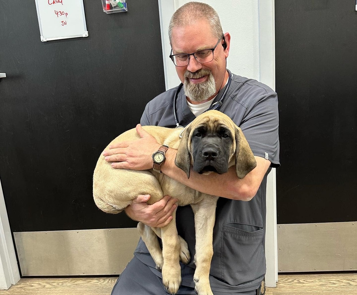 Veterinarian in Queen Creek, AZ | Queen Creek Veterinary Clinic
