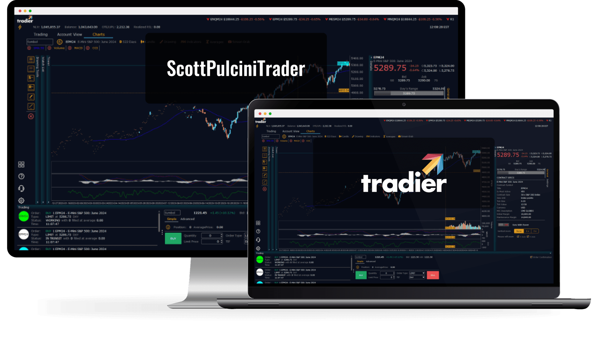 Access Scott's Live Trade Room for FREE | Learn More