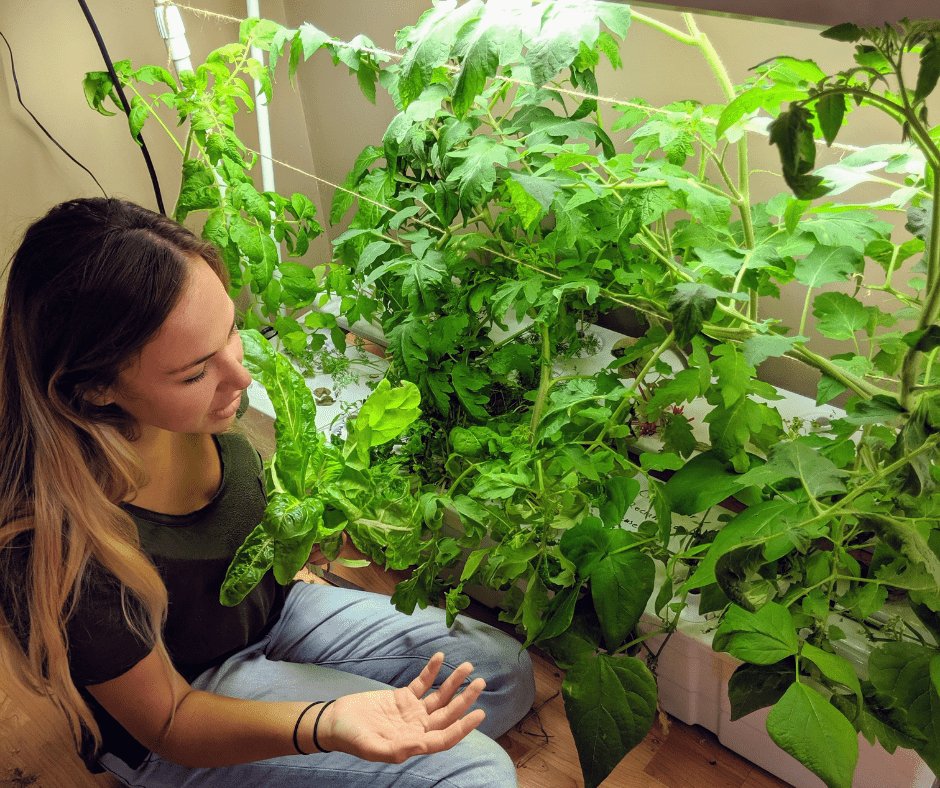 Sign Up-Free Indoor Garden Training