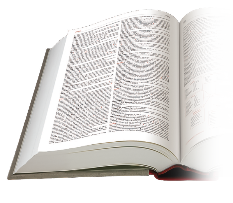 Treccani Reti - Vocabolario Italiano