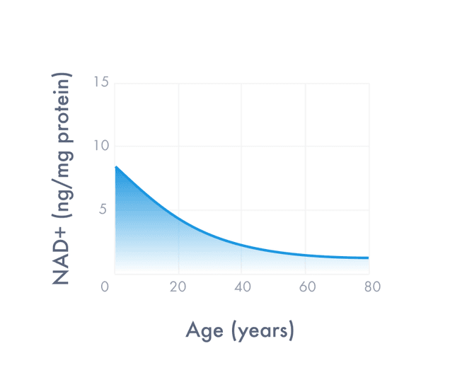 NAD+ is necessary for converting nutrients into energy as well as ...