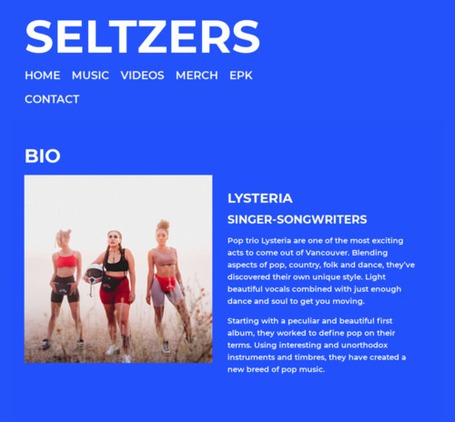 EPK Templates for Bands and Music Artists | Bandzoogle