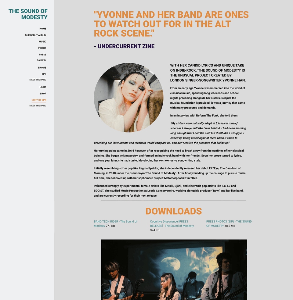 Build a music website that works | Bandzoogle
