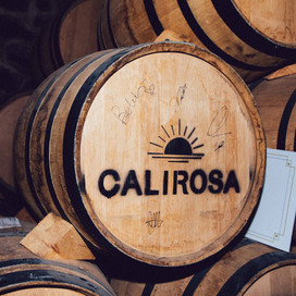 ROSA TEQUILA IS THE NEW ROSÉ