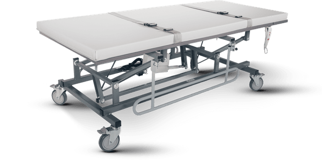 Adult Changing Tables