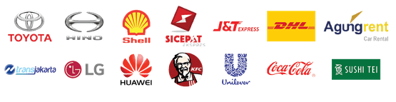 GPS Tracker System Cartrack