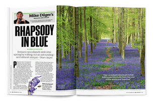 Free digital issue of BBC Wildlife Magazine