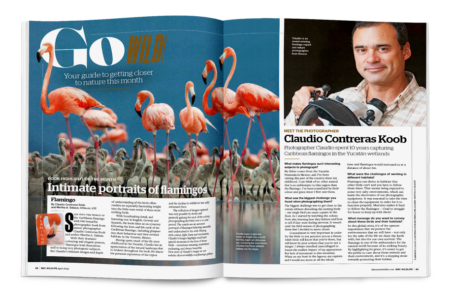 Free digital issue of BBC Wildlife Magazine