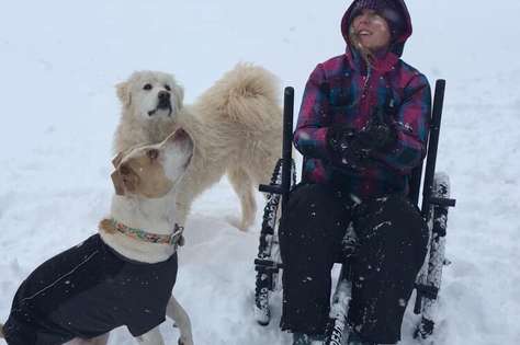 All-Terrain Snow Wheelchair — Winter Wheelchair