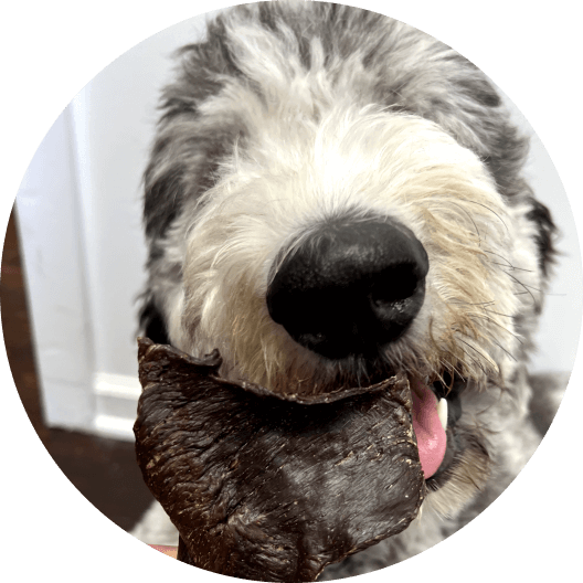 King Lou's single-ingredient dog treats help dogs live a longer ...