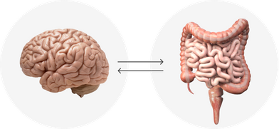 Nerva: Evidence-backed IBS support