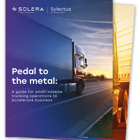 The Sylectus TMS from Omnitracs - Potholes to Avoid eBook