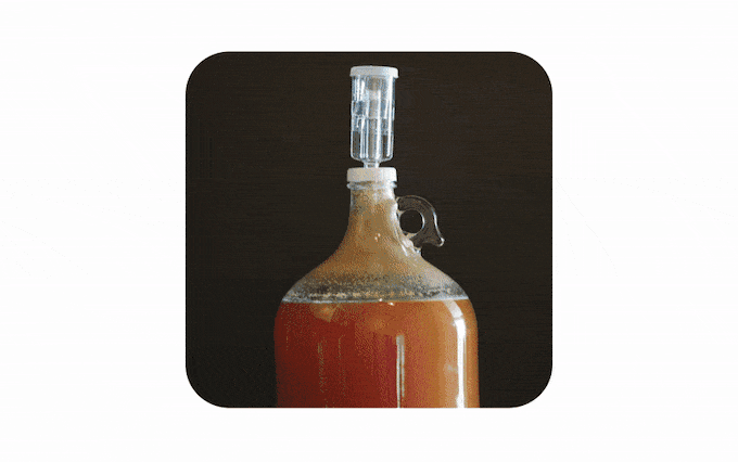 Pinter | The Home of Fresh Brewing