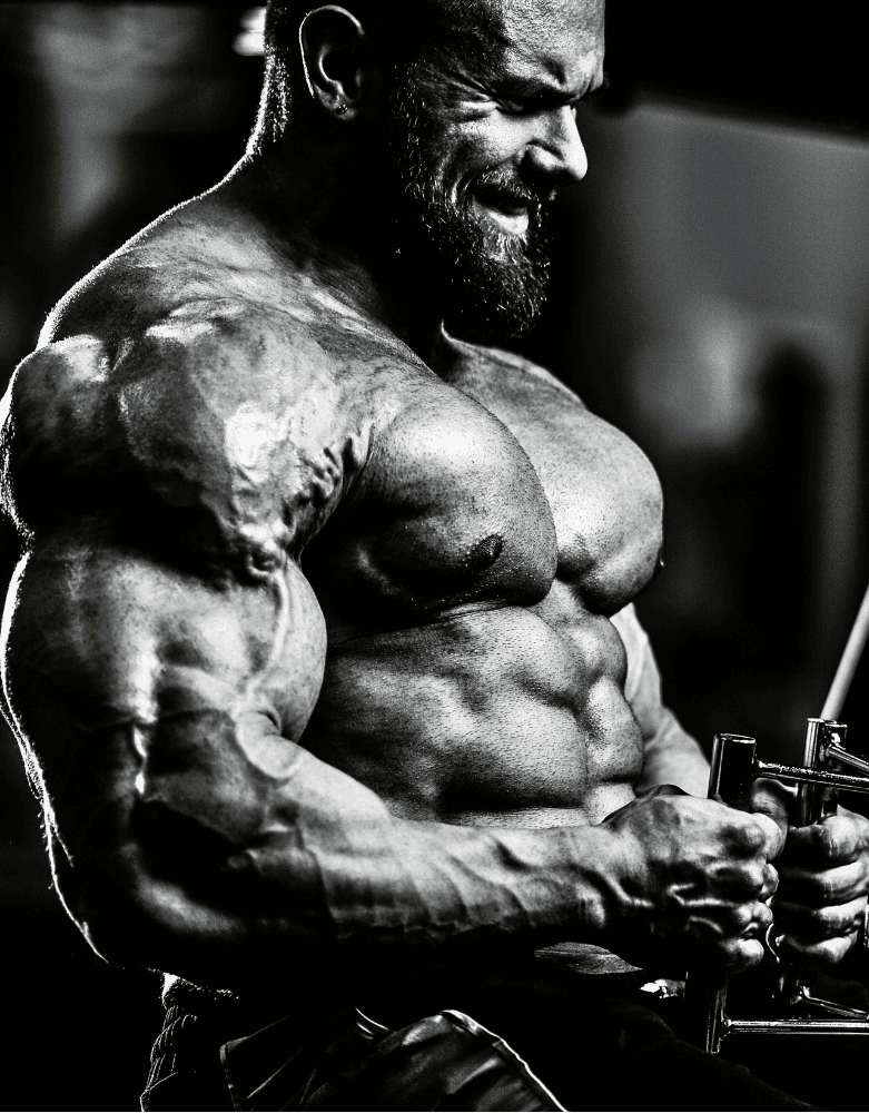 Primal Muscle - Tri-H