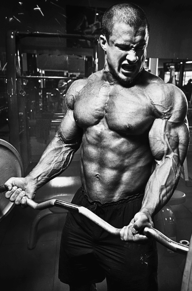 Primal Muscle - Tri-H