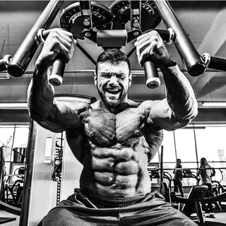 Primal Muscle - Tri-H