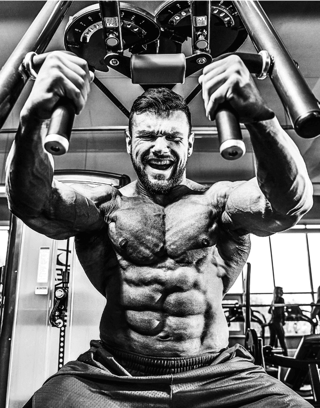 Primal Muscle - Tri-H