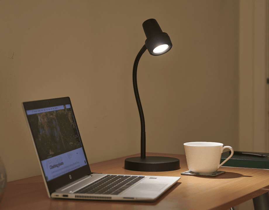 Serious Readers | Spring Sale