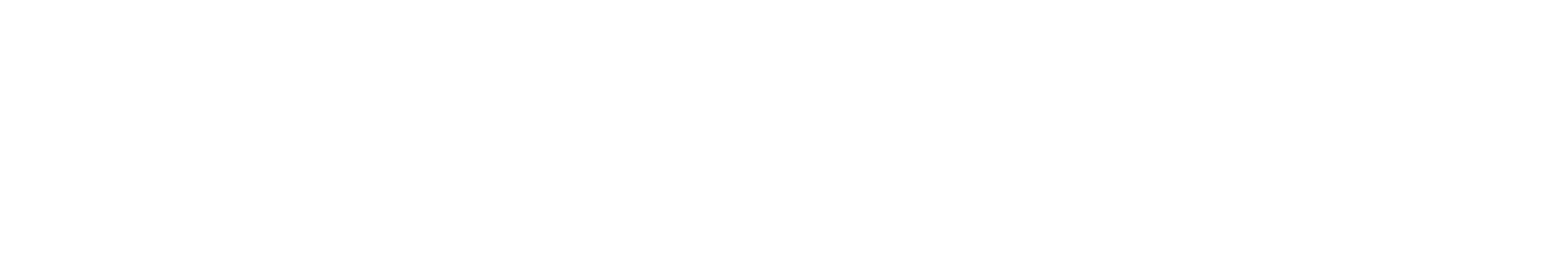 Experience Interchangeable Probes: The Future of Videoscope Technology