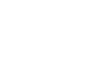 experience interchangeable probes the future of videoscope technology