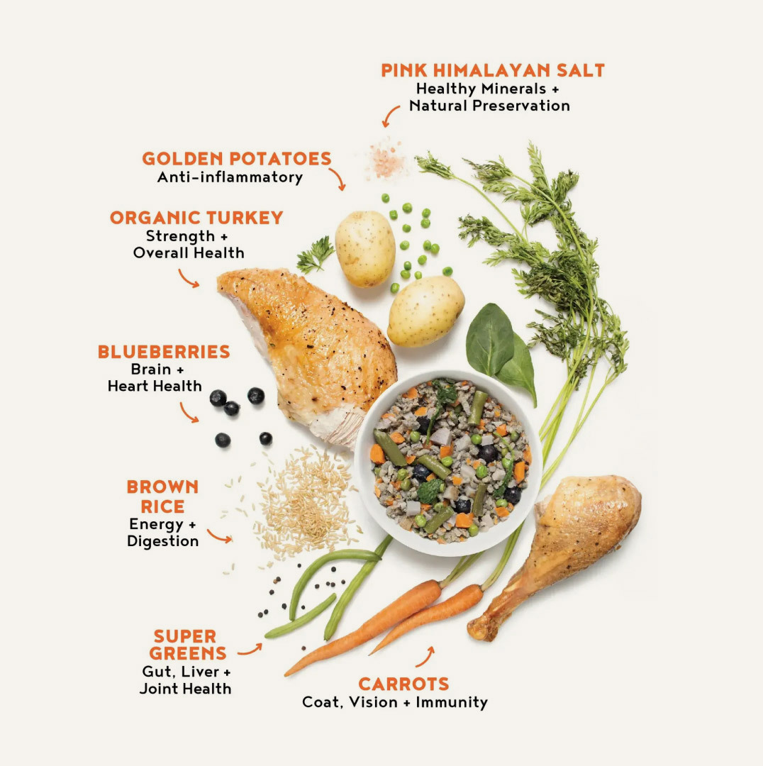 The Secret to a Healthier, Happier Furry Friend?