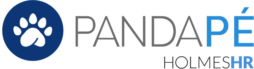 DEMODAY PANDAPÉ | SESIÓN DE CAPACITACIÓN