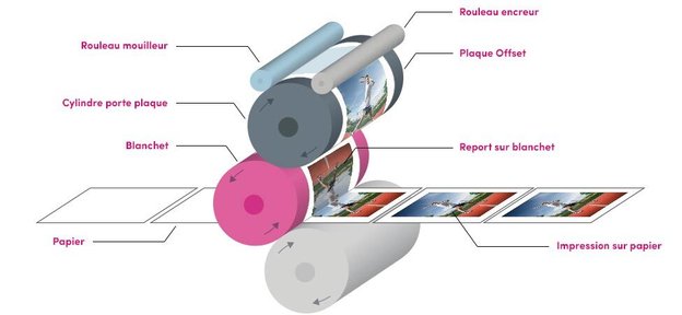 Tout Savoir sur Impression Offset : Procédé, Avantage & Utilisation