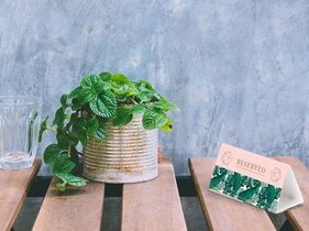 Place cards | Make them and print them online!