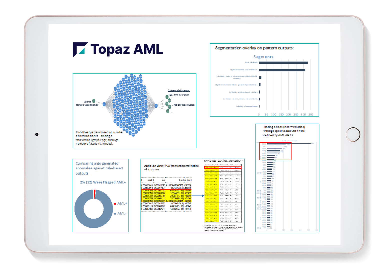 Fraud detection platform and monitoring platform: Topaz Aml Platform