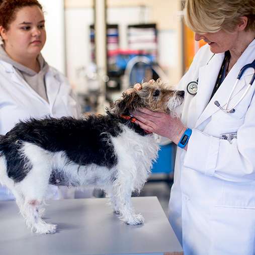 Health Care Programs