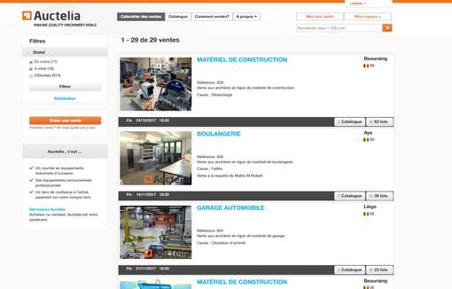 Online public auctions of industrial and professional equipment